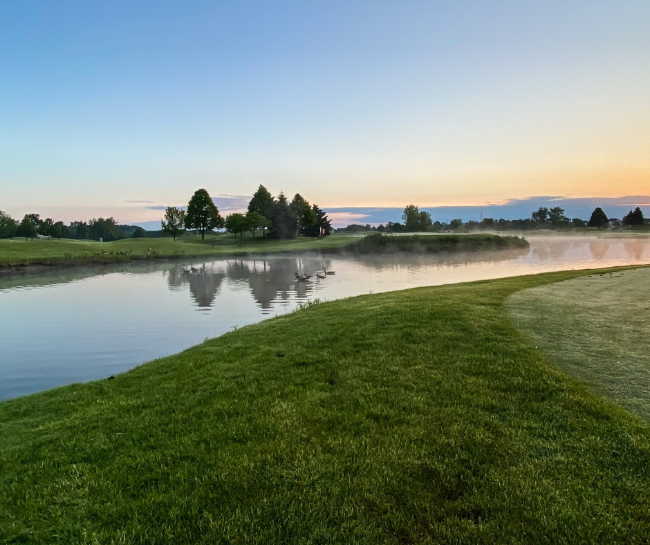 Pond Management for Golf Courses: Reduce Irrigation Issues and Improve ...