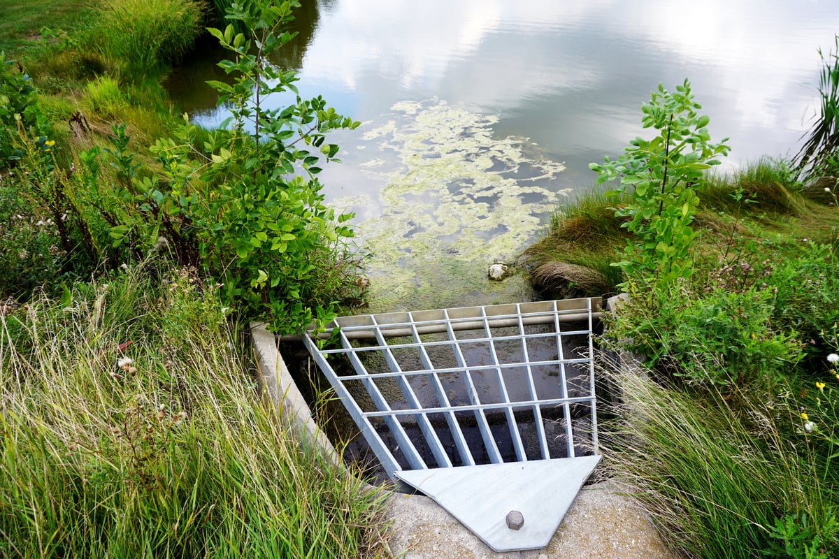 Understanding Phosphorus in Freshwater Systems: Causes and Control Methods