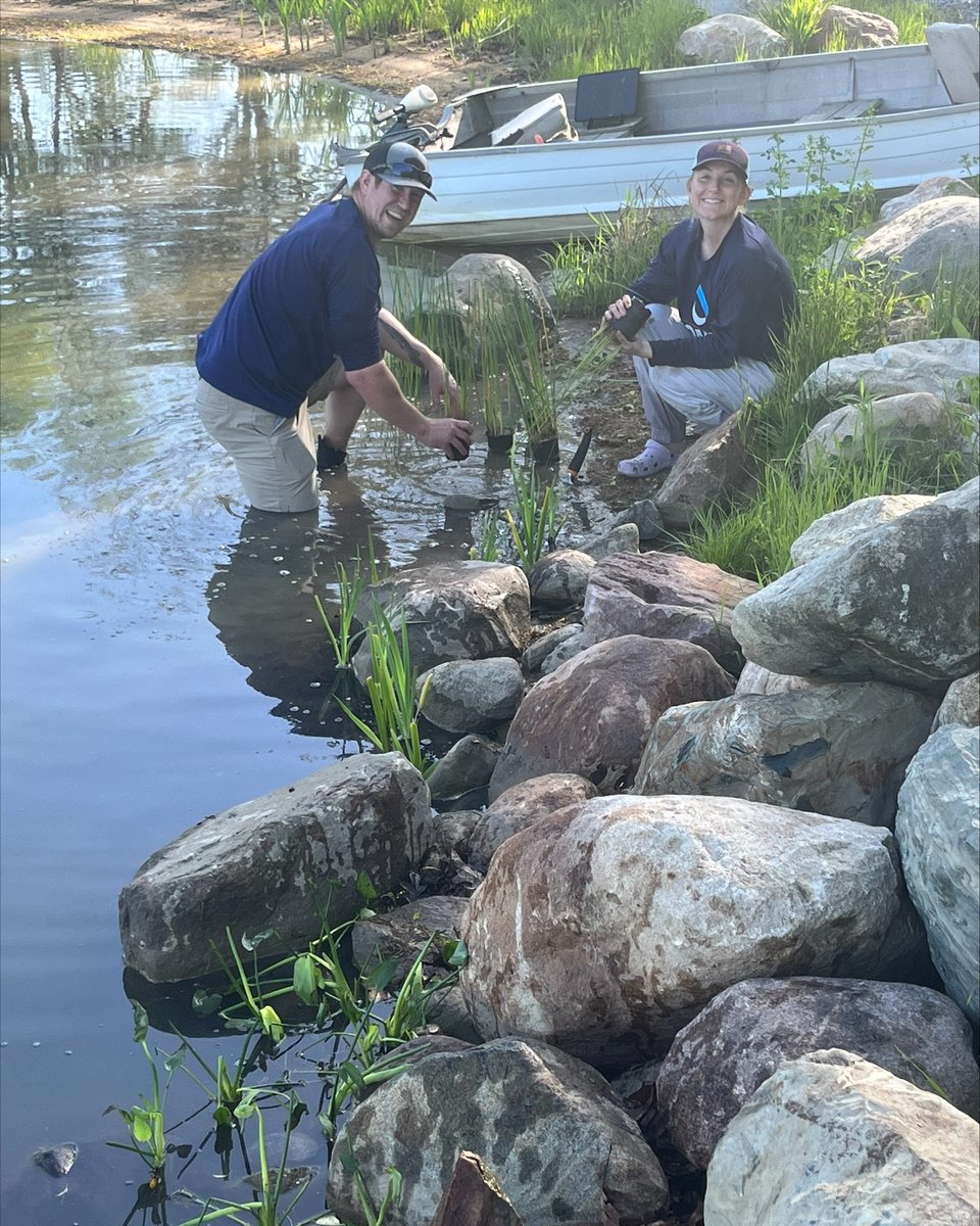 Restoring Pond Edges with Native Wetland Plants in Wisconsin